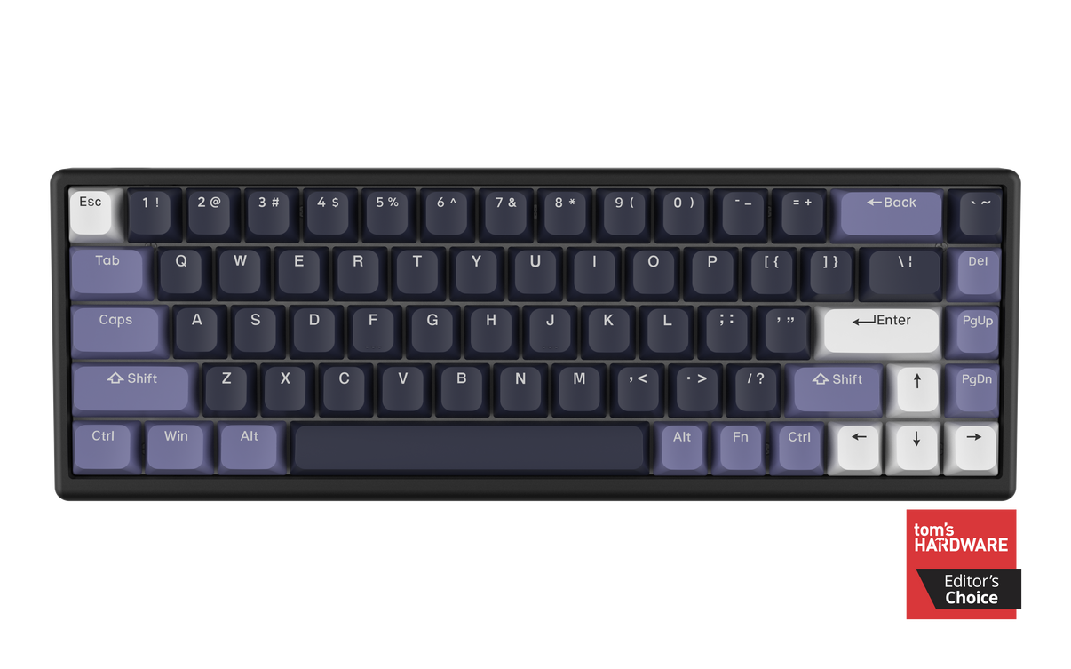Polar 65 HE Dual Rail - Magnetic Gaming Keyboard – Arbiter Studio