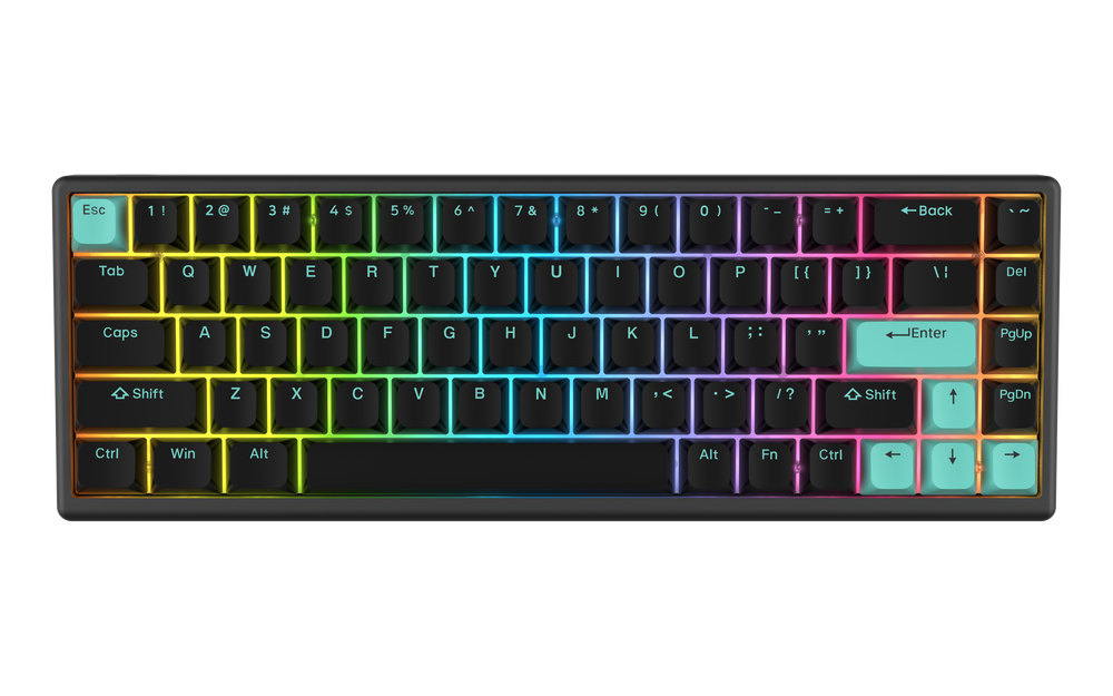 Dual Rail Series – Arbiter Studio