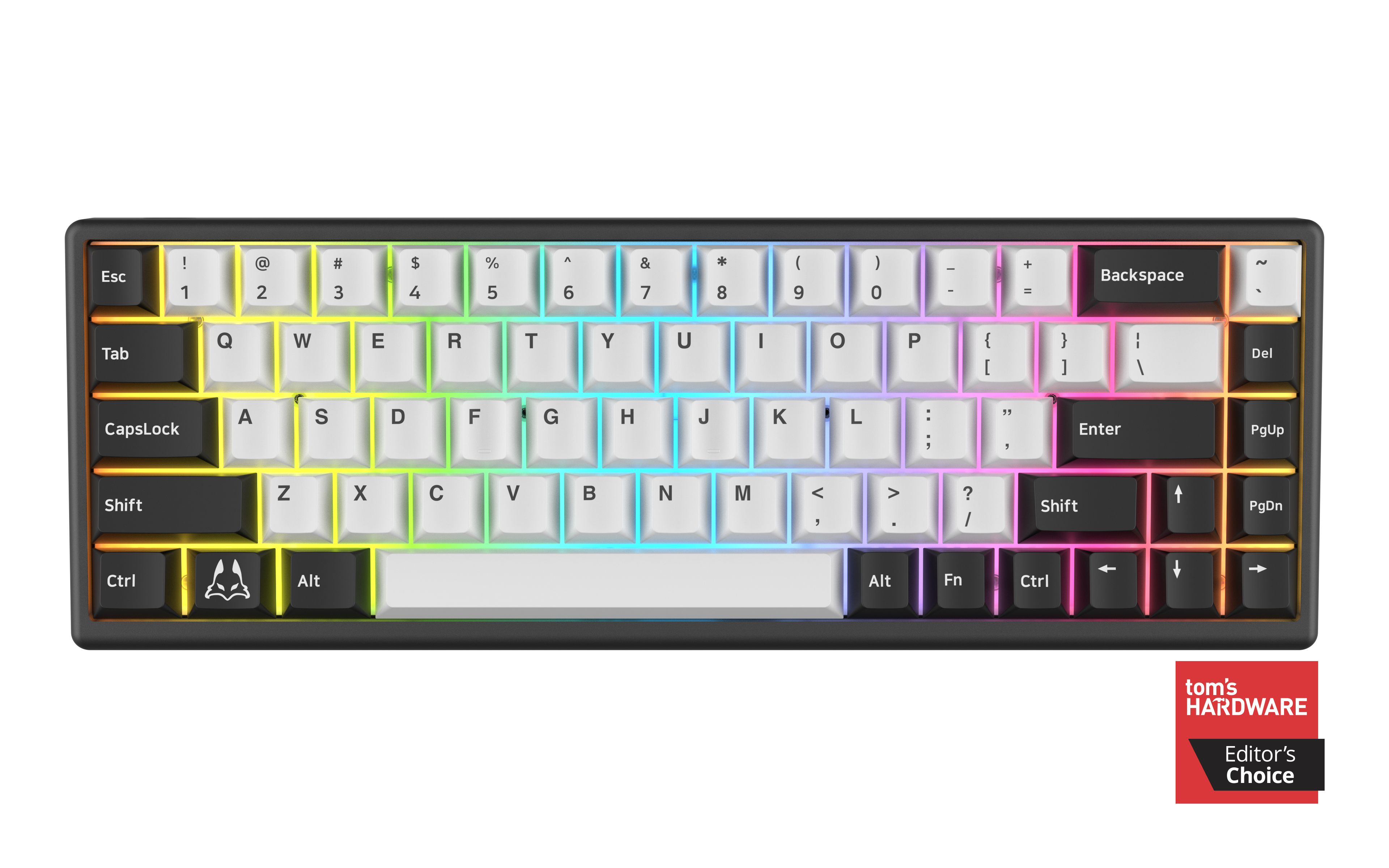 TENKO® - Polar 65+ HE Magnetic Gaming Keyboard – Arbiter Studio