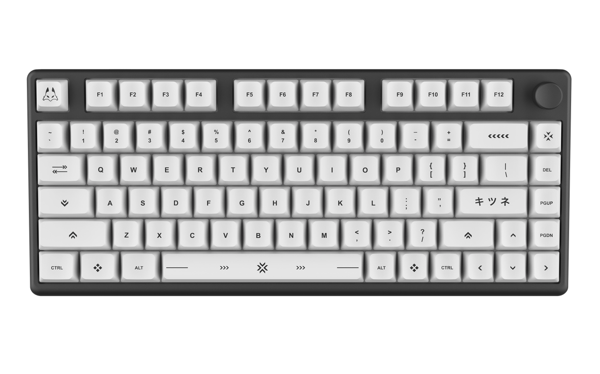 KITSUNE - Polar 65 | 75 PRO Magnetic Gaming Keyboard – Arbiter Studio