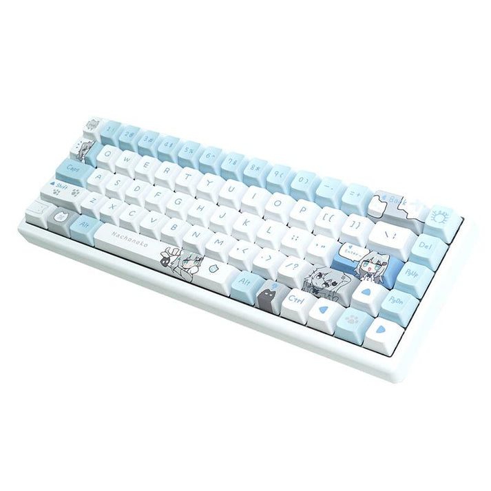 KITSUNE - Polar 65 | 75 PRO Magnetic Gaming Keyboard – Arbiter Studio
