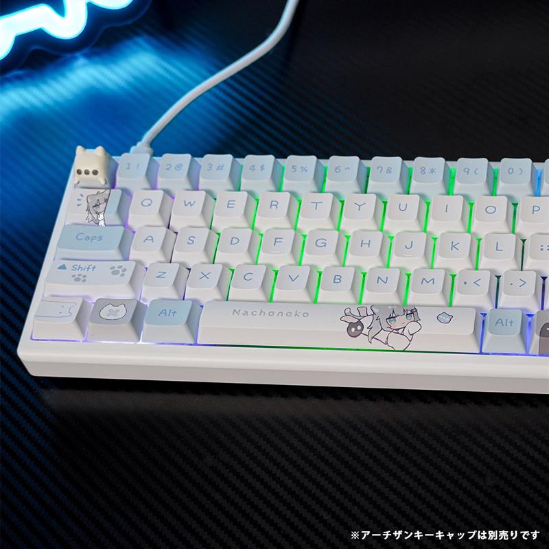 KITSUNE - Polar 65 | 75 PRO Magnetic Gaming Keyboard – Arbiter Studio